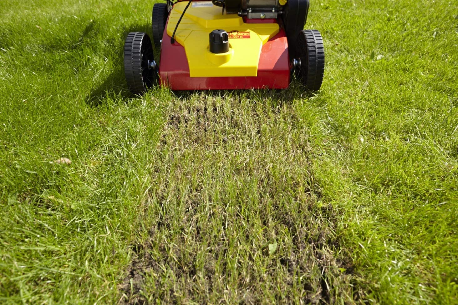 ᐅᐅ WOLF-Garten Scarifier - These models are recommended
